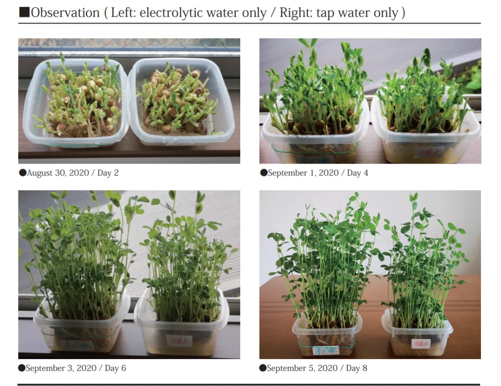 Electrolytic Ozone Water vs. Tap Water: A Comparative Study on ...